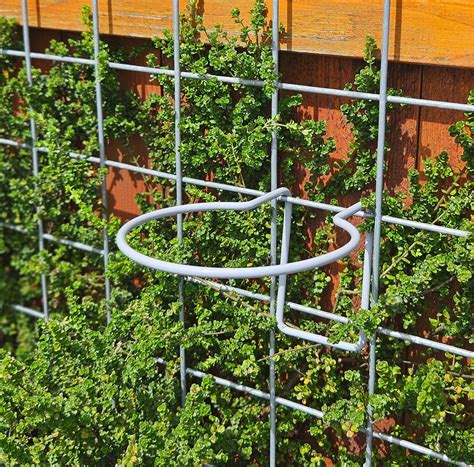 Hog Wire Planter Hanger 65 Tlr Creations