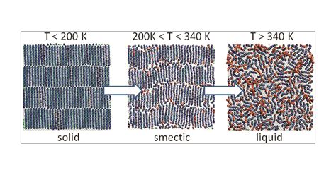 Structural And Phase Properties Of Tetracosane C24h50 Monolayers Adsorbed On Graphite An