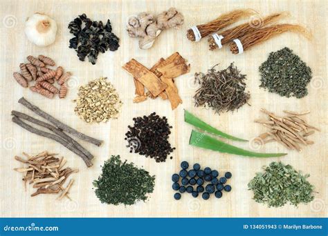 Adaptogen Herb Spice And Berry Fruit Stock Image Image Of Herbal Immune 134051943