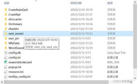 有道词典使用离线翻译 有道翻译离线包在哪个文件夹 Csdn博客