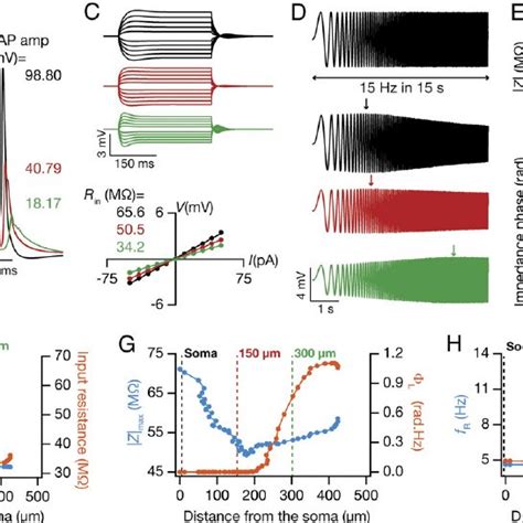 Six Experimentally Constrained Functional Maps In The Base Model