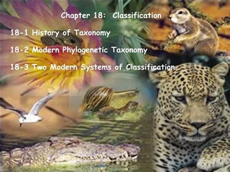 Ppt Chapter 18 Classification Powerpoint Presentation Free Download