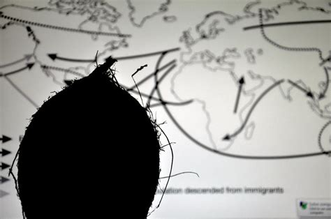 Migrating Coconuts By Hysazu On Deviantart