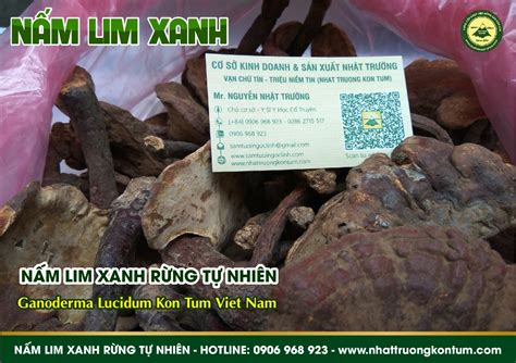 Nấm Lim Xanh Rừng Tự Nhiên Kon Tum Ganoderma Lucidum Kon Tum Vietnam Túi 1kg