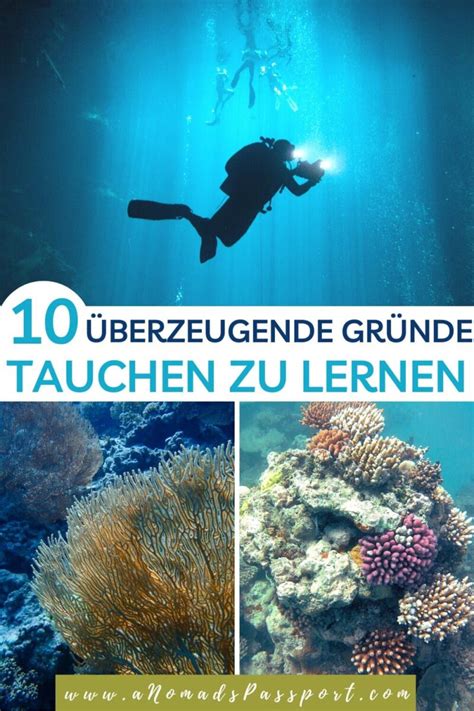 Warum Tauchen Lernen 10 Gute Gründe Ein Tauchen Zu Sein