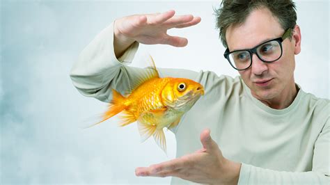 Well Actually Goldfish Dont Have Three Second Memories