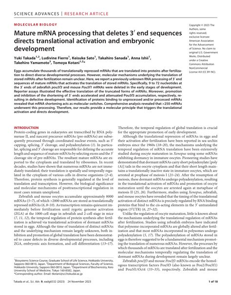 Pdf Mature Mrna Processing That Deletes 3′ End Sequences Directs Translational Activation And