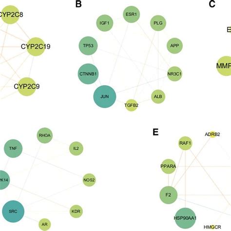 mcode analysis of ppi network a cluster 1 composed of 7 nodes and