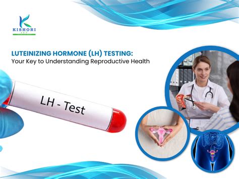 luteinizing hormone lh testing your key to understanding