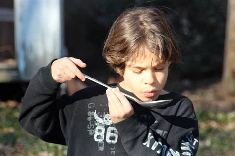 Tree Sugar Sex Magik Cookblog