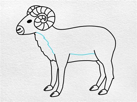 Ram Drawings