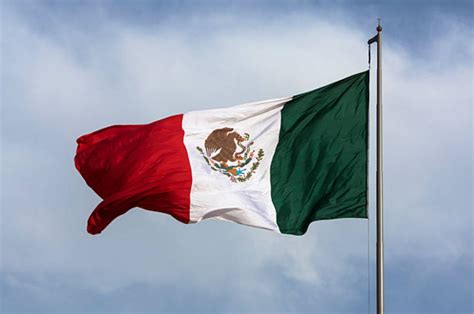 Que Se Celebra El 5 De Febrero En Mexico