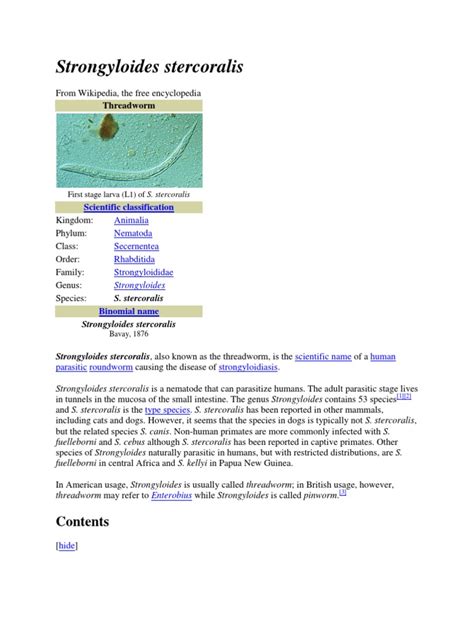 Understanding The Life Cycle And Disease Impacts Of The Threadworm