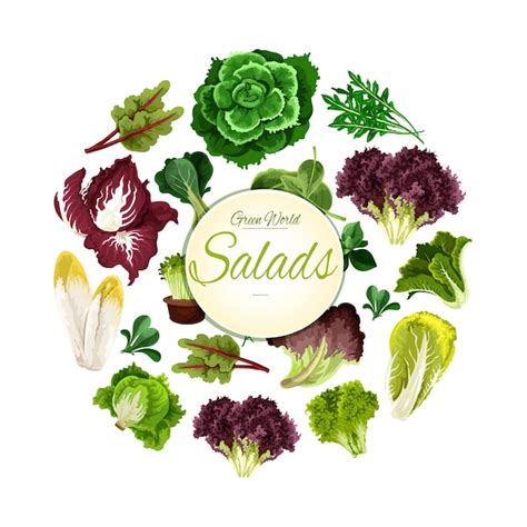 Cartaz De Saladas De Vegetais De Folhas Verdes Vetoriais Vetor Premium