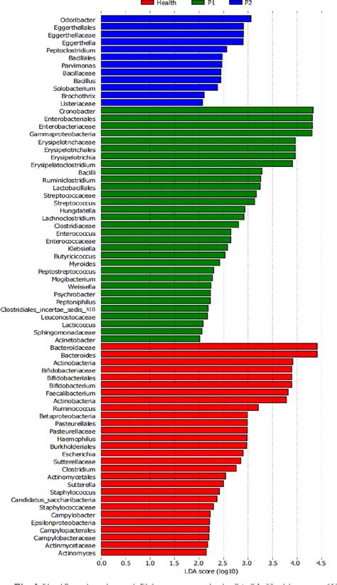 Figure 2 From The Role Of Ketogenic Diet In Gut Microbiota Semantic