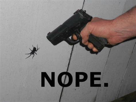 Nope Know Your Meme