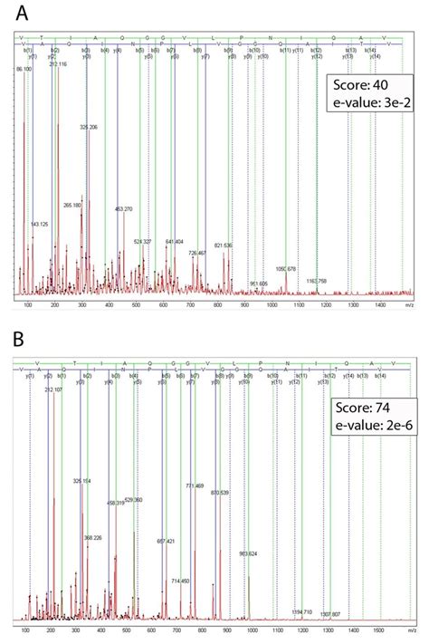 The Tendency Of The Itraq Label To Reduce The Complexity Of The