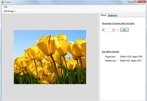 Image Editing Tool In VB Net Part