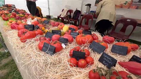 10 Jaar Brussels Tomato Festival Van Cornul Caprei Tot Aurora Of Tiganesti Bruzz