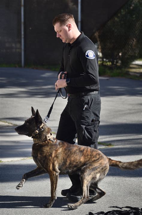 K9 Narcotics Training Equipment At Scot Street Blog