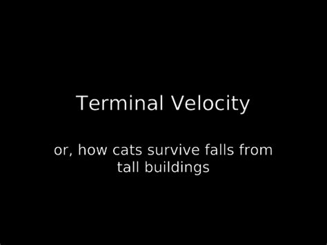 2019 Aqa Gcse Physics Forces Terminal Velocity Teaching Resources