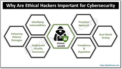 Why Are Ethical Hackers Important For Cybersecurity Ip With Ease