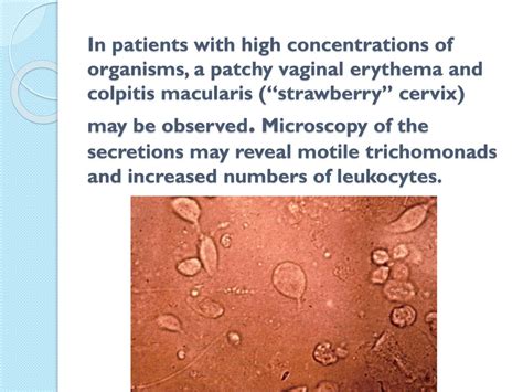 Strawberry Colored Cervix
