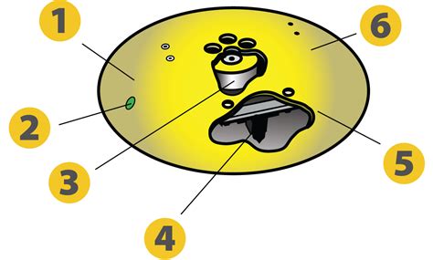 How Oil Detection Sensors Work Oil Alert