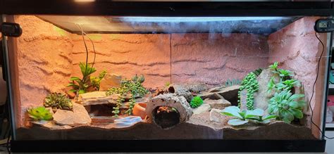 Gecko Terrarium Gecko Terrarium Leopard Gecko Tank 60 Off