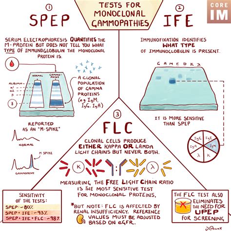 Mgus To Multiple Myeloma Diagnostics And Counseling 5 Pearls Segment Core Im Podcast