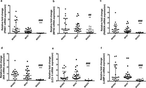 Depicts Mrna Expression Of Mitophagy Markers A Pink1 B Mfn2 C Parkin
