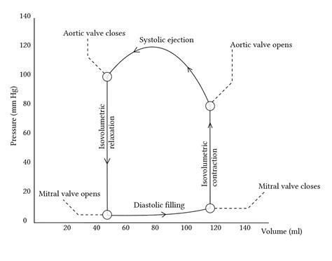 Ventricular Pressure Volume Loops Deranged Physiology