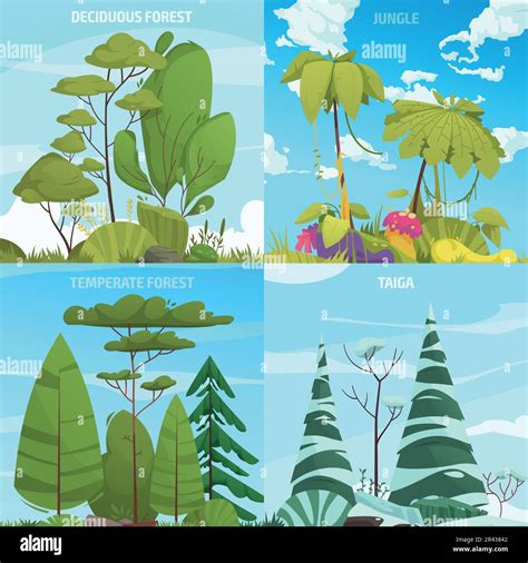 Ecosystem Types Cartoon Compositions Set With Different Forest Systems Isolated Vector