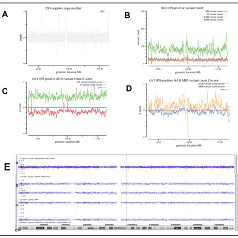 Evaluation And Analysis Of The Cnv And Aoh Of A Normal Sample A Cnv