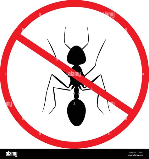 no ant icon not allowed insects icon home insect stop ant icon red