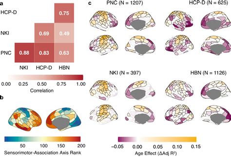 Functional Connectivity Development Along The Sensorimotor Association Axis Enhances The