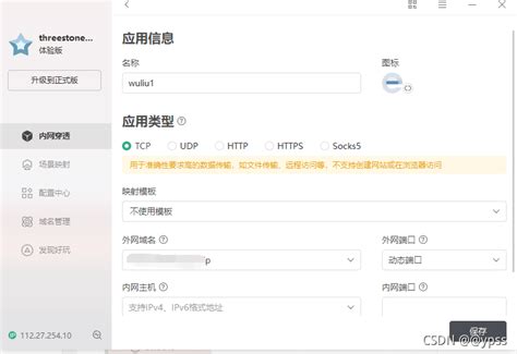 内网穿透，外网装逼：10分钟学会用花生壳实现从外网访问内网的web项目内网穿透的项目 Csdn博客