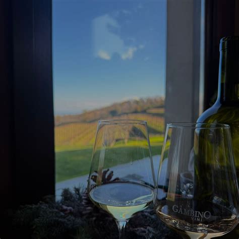 Gambino Winery All You Should Know Before Going 2026 Reviews