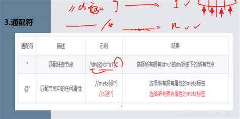 Xpath提取网页数据（附实例）xpath爬取网页全部内容 Csdn博客