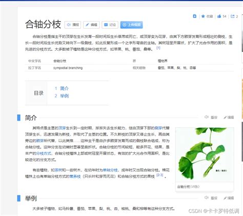 论植物生长逻辑和speedtree使用方法的联系speedtree对生叶子 Csdn博客