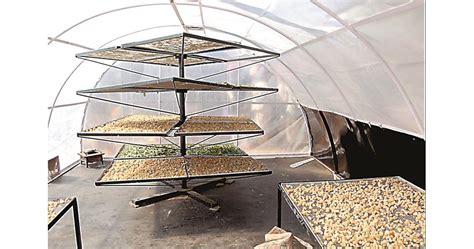 ВЪЗХОД НА ТЕХНОЛОГИИТЕ Сушене на зърно с възобновяема енергия Български Фермер