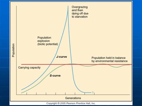 21 Population Dynamics New Revision Slides Ppt