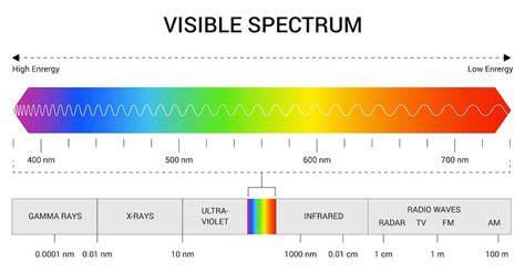 Premium Vector Spectrum Wavelength Visible Spectrum Color Range