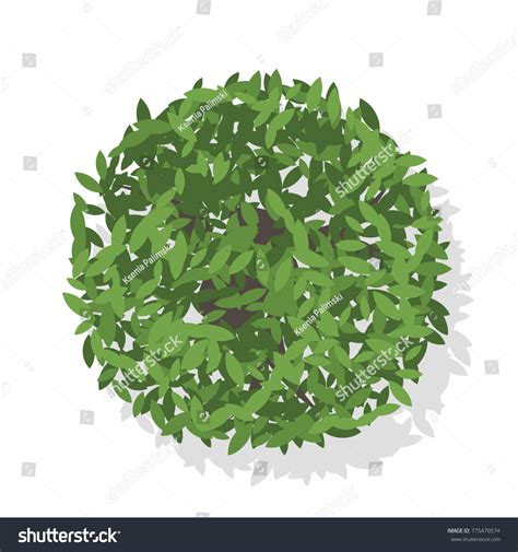 Thousand Tree Overhead Vector Royalty Free Images Stock Photos Pictures Shutterstock