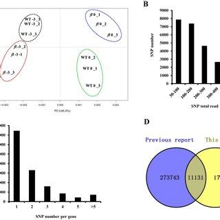 Classification Of Identified Single Nucleotide Polymorphisms Download Table