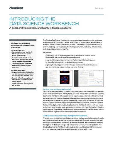 what a data science workbench looks like
