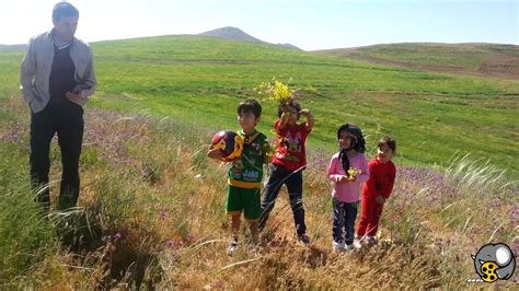 طبیعت زیبای بهاری جاده مشهد کلات یاد پس زمینه مشهور ویندوز میوفته آدم