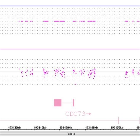 Cytoscan Hd Array Analysis Results Of The Patient Intensity Data Log