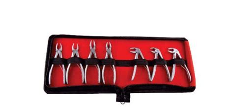 Gdc Extraction Forceps Peedo Standard Azdentalstore