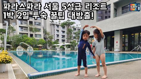 파라스파라 서울 프라나오너스 5성급리조트 호텔 호캉스 1박2일 꿀팁 투숙 보가9 카니발하이리무진